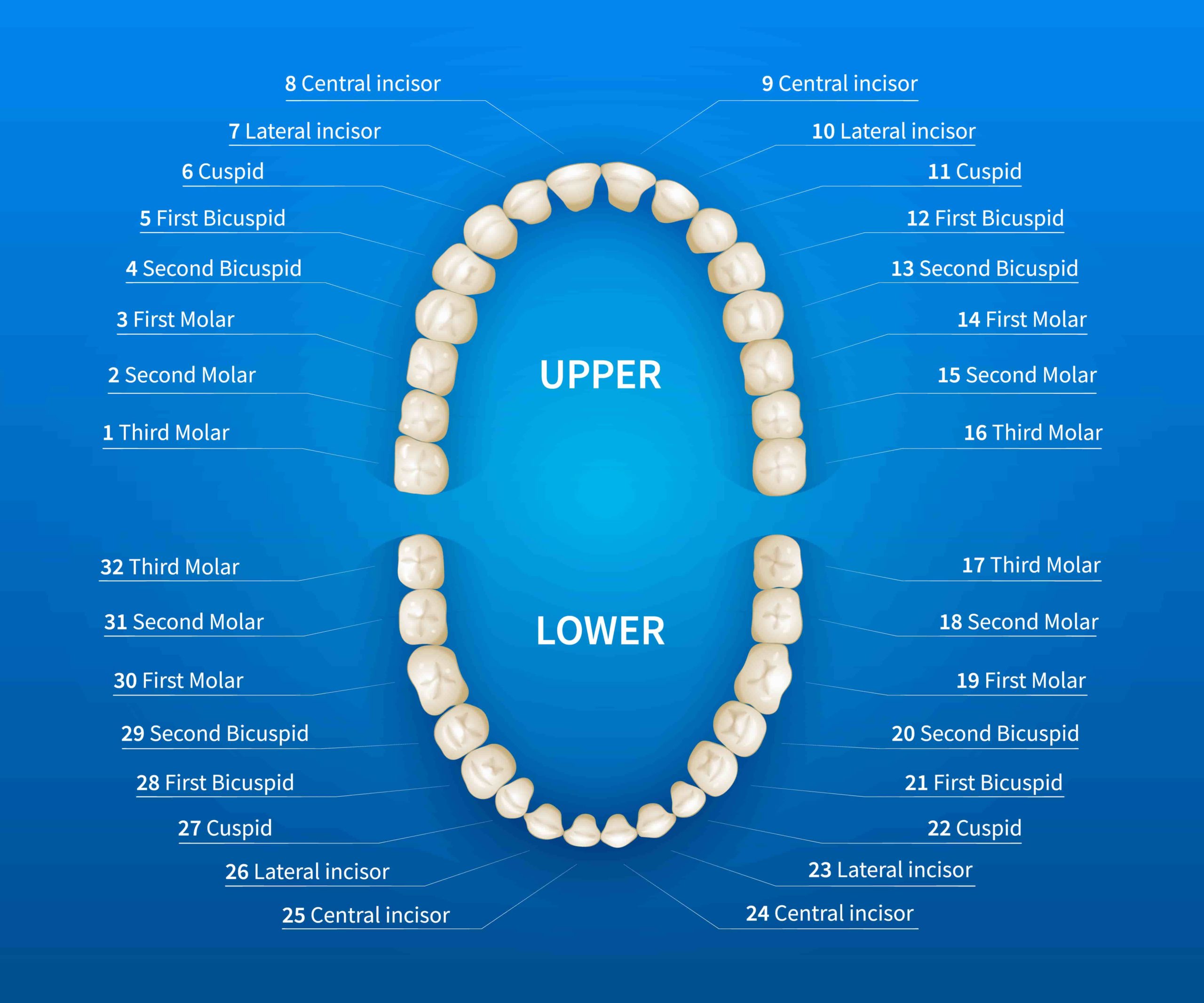 Wisdom Tooth Extraction Temecula Dental Implants Oral Surgery